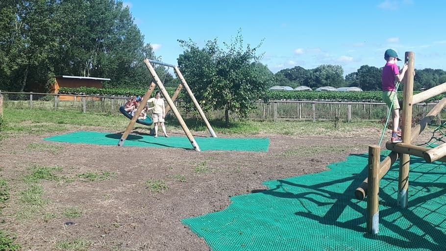 Primrose Vale PYO | Cheltenham Rocks